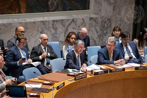 United Nations Security Council