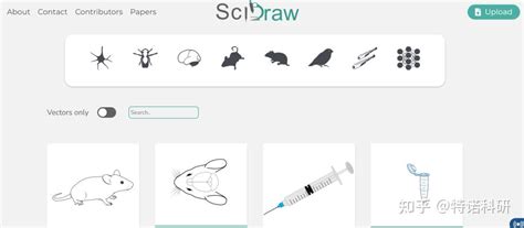 怎么做出一张精美的图文摘要 Graphical Abstract 知乎