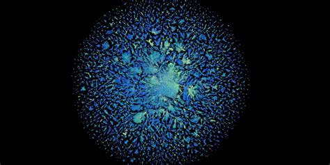 Meta AI Unlocks Hundreds Of Millions Of Proteins To Aid Drug Discovery WSJ