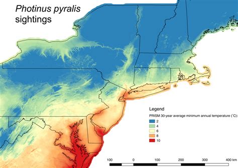 Lightning Bugs Vs Fireflies Map At Terry Swenson Blog