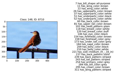 Universality And Hidden Information In Concept Bottleneck Models — Ai