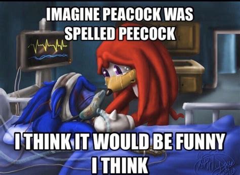 Peecock Rawfuleverything