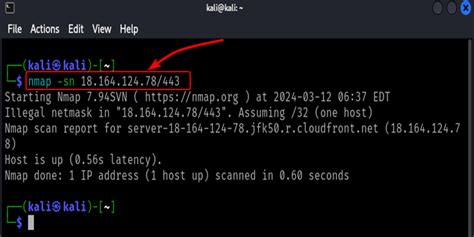 15 most useful host scanning commands kali linux geeksforgeeks