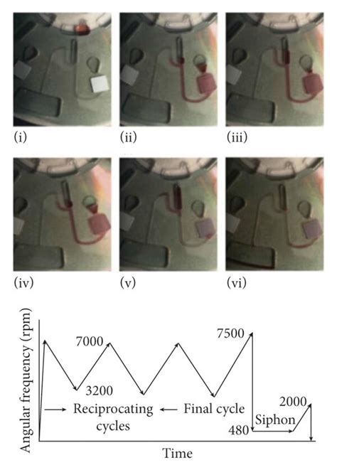 A Complete Layout Of A Centrifugal Microfluidic System With Numbers