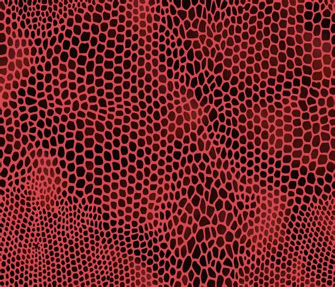 1700 Python Texture Stock Illustrations Royalty Free Vector Graphics