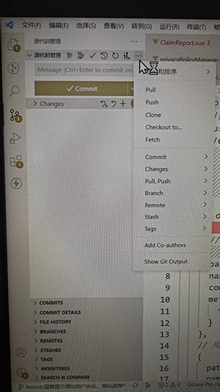 Vscode里用git插件怎么改中文显示开发工具 Csdn问答