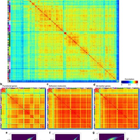 Pdf A High Resolution Transcriptomic And Spatial Atlas Of Cell Types