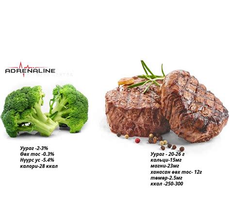 Adrenaline Sport Fitness Center Уураг гэж юу вэ Хүний биед ямар