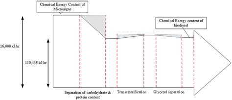 Biodiesel Production Process Flow Diagram Of Htl Esterification Process