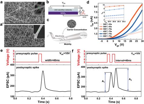 Zno Nanofiber‐based Field‐effect Transistors And Basic Electrical Download Scientific Diagram