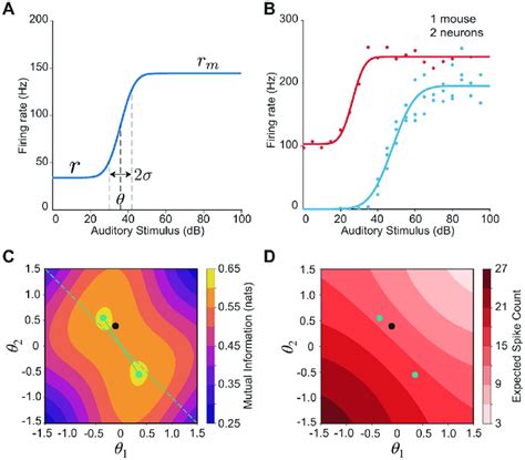 The Tuning Of Auditory Nerve Fibers Anfs Match Predictions From Download Scientific Diagram