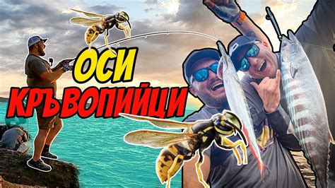 НАПАДАТ НИ ОСИ СЛЕД ВСЯКА ХВАНАТА РИБА РИБОЛОВ НА ПАЛАМУД И ТУНАКИ