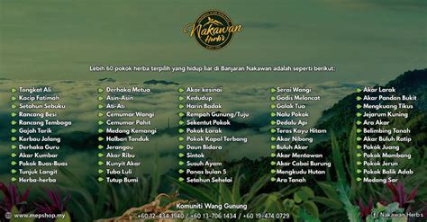 Mai Sasanci Salihon Maganin Mai Sasanci Herbal Drink Facebook