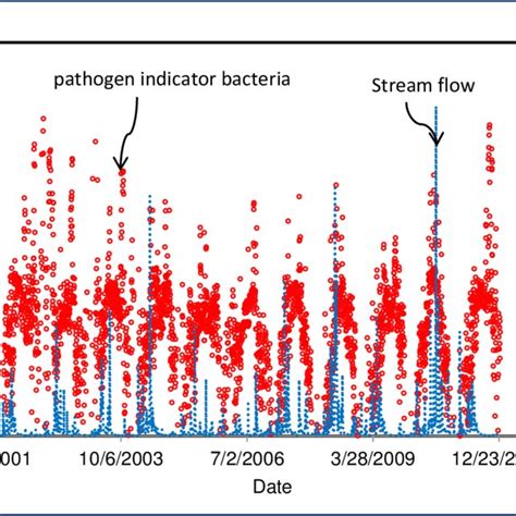 Predicted Pathogen Indicator Bacteria And Stream Flow Download