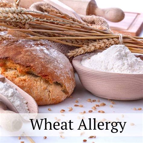 How To Eat Well With A Wheat Allergy Eating With Food Allergies