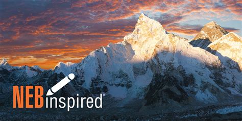 Optimizing Mrna Capping And Analysis Neb