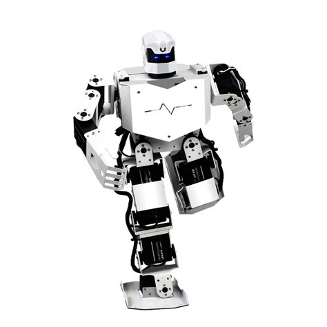 biped robot control