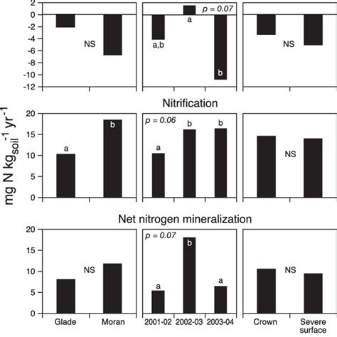 Net Annual Nitrification Ammonification And Net N Mineralization From Download Scientific