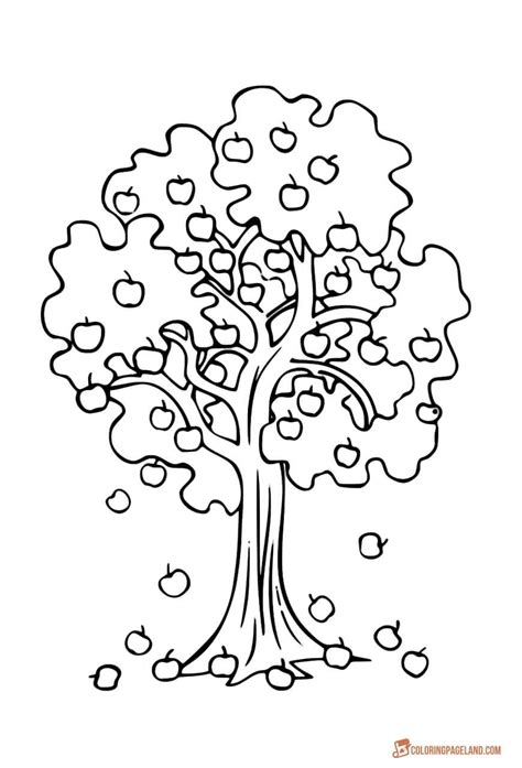 Fruit Tree Coloring Page At GetColorings Com Free Printable Colorings Pages To Print And Color