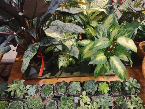 Compass Treasure Chest Added A Compass Treasure Chest