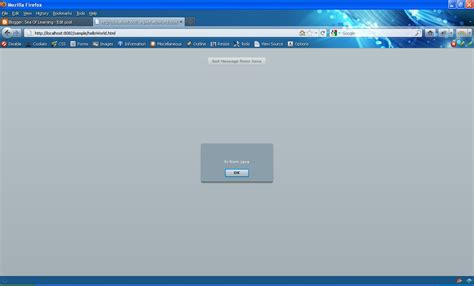 feel flex sample remoting application using blazeds in flex with java
