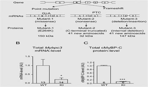 Ai Algorithms For Brain Scan Analyses Pioneering Minds