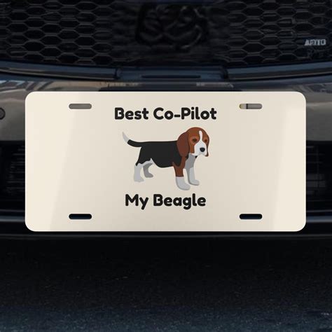 Front License Plate Best Co Pilot My Beagle Vanity Plate Unique