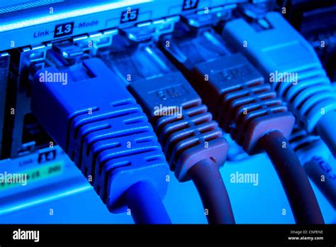 Close Up Of Network Cables Connected To Switch Stock Photo Alamy