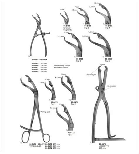 Bone Holding Forceps At Best Price In Vadodara By Fidato Healthcare Id 16829266633