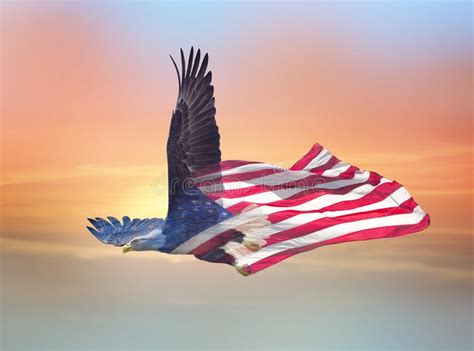 American Eagle Flying Flag