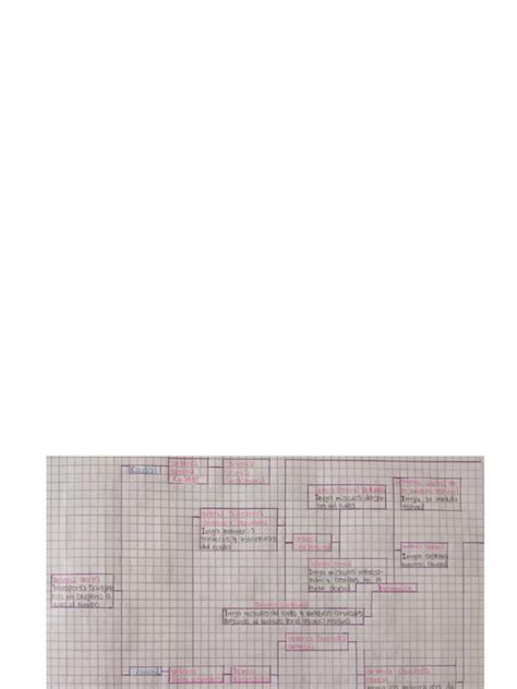 Mapa Conceptual Sistema Circulatorio Pdf