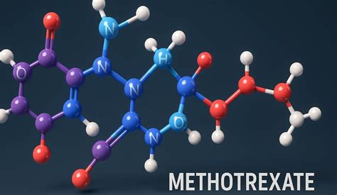 Methotrexate Structure Mode Of Action Uses And Sar