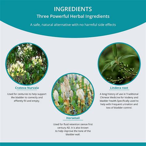 Buy Better Bladder Control Supplement For Women And Men Womens Bladder Control Supplements