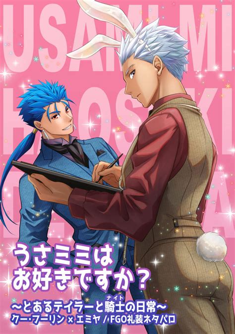 Rinrinri Fujimiya Archer Fate Cu Chulainn Fate Cu Chulainn
