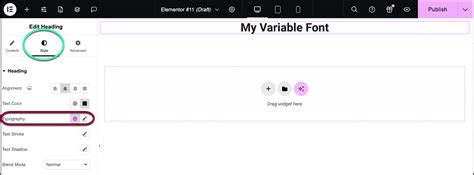 Use Variable Fonts Elementor