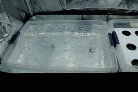 Floating Raft Deep Water Culture Inventgeek