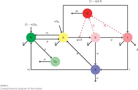 Figure 1 From A Mathematical Model On The Transmission Dynamics Of Typhoid Fever With Treatment