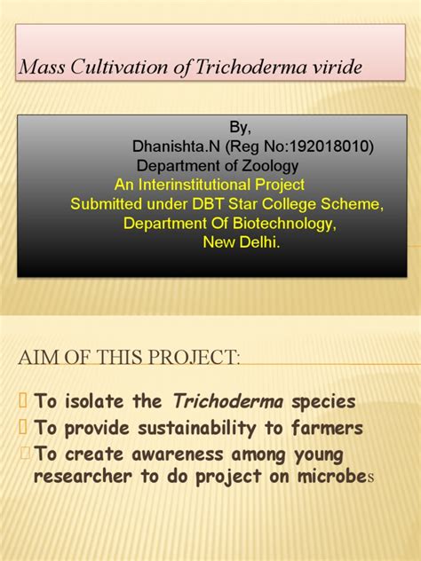 Mass Cultivation Of Trichoderma Viride Pdf Fungicide Fungus