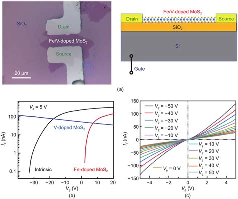 Influence Of Heteroatom Doping On The Electrical Properties A