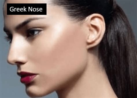 Sniff This The Different Types Of Nose Shapes Explained