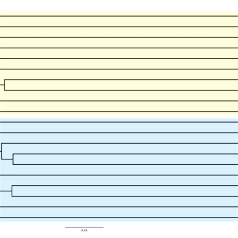 Dendrogram Generated By Upgma Clustering Analysis Download