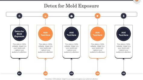 Detox For Mold Exposure In Powerpoint And Google Slides Cpp PPT Sample