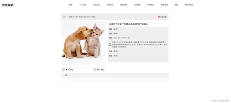 Java计算机毕业设计班级网站计算机（附源码、数据库）班级网站设计数据库 Csdn博客