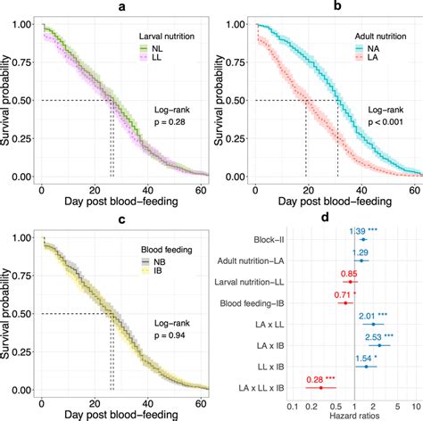 Survival Models Explaining The Variations In Survival Of Aedes Download Scientific Diagram