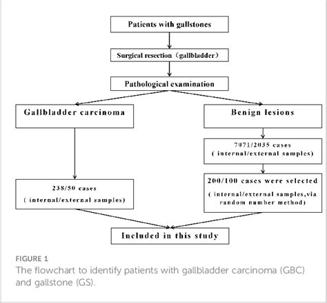 Figure 1 From Risk Factor Analysis And Construction Of Prediction