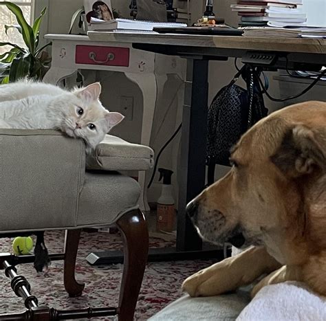 Oc When Your Crush Doesnt Like You Back Raww