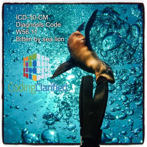 Lori Jaramillo Cpc On Linkedin 2024 Icd 10 Cm Diagnosis Code W5611
