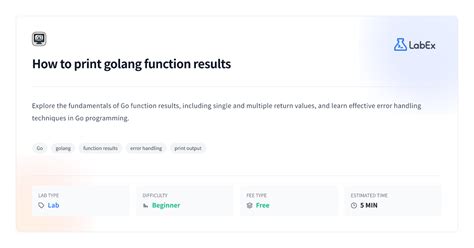 How To Print Golang Function Results Labex