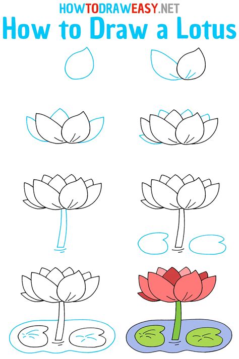 Lily Pad Flower Drawing Step By Step