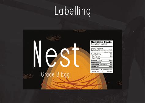 Nest Project Behance